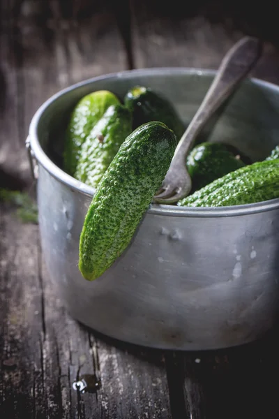 ᐈ Of pickled cucumber stock photos, Royalty Free pickled cucumbers ...