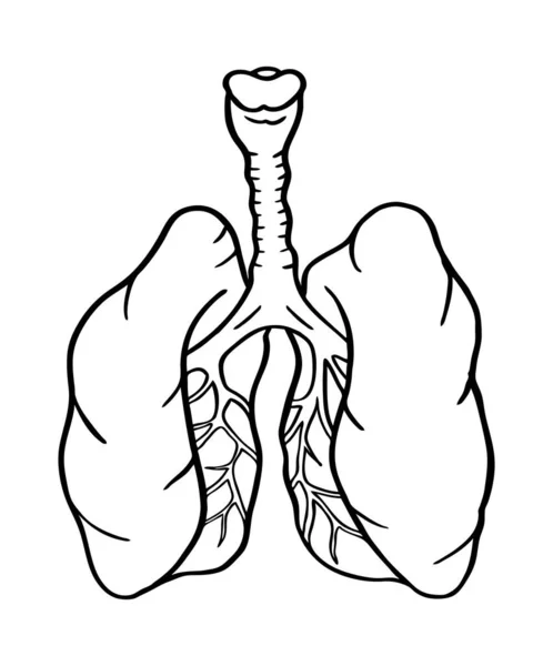 Respiratory System Coloring Page