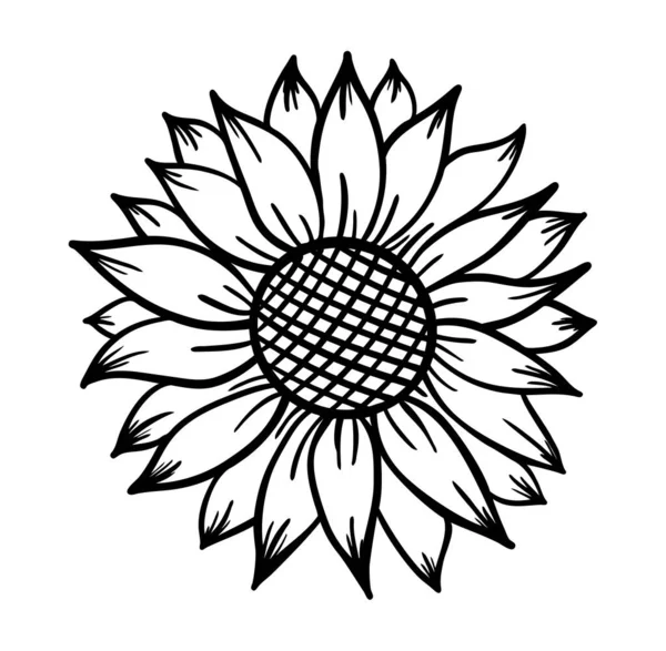 Sunflower Outline Free Vector | Best Flower Site