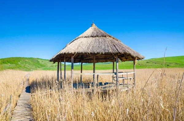 Reed hut Stock Photos, Royalty Free Reed hut Images | Depositphotos®
