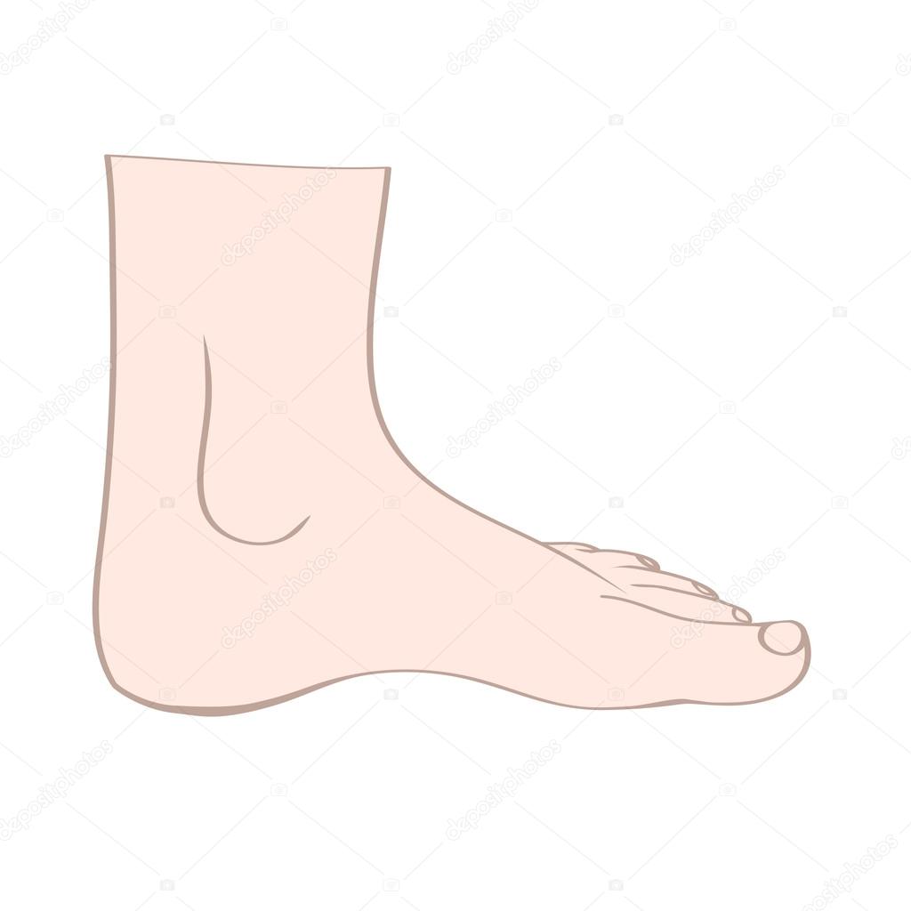 Feet in vector Stock Vector Image by ©0112angel #79081552