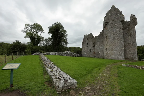 Monea castle Pictures, Monea castle Stock Photos & Images | Depositphotos®