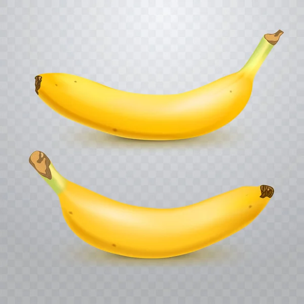 20,174,197 Banana variety Vector Images | Depositphotos