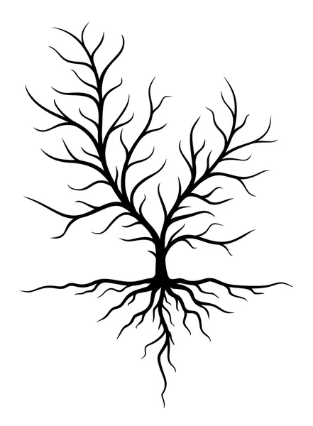 15,822,235 Tree roots Vector Images | Depositphotos