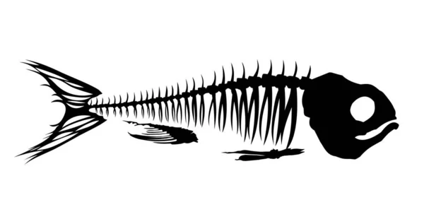 Fish Fossil Drawing
