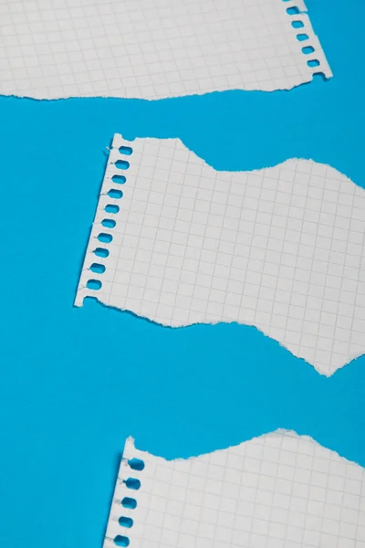 Torn pieces of checkered paper Stock Photo by ©AY_PHOTO 109970472