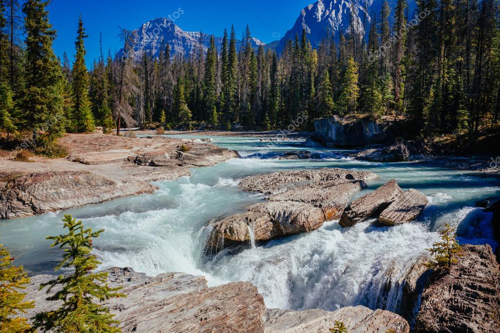Natural Bridge, Yoho National Park, Alberta, Canada Stock Photo by ...
