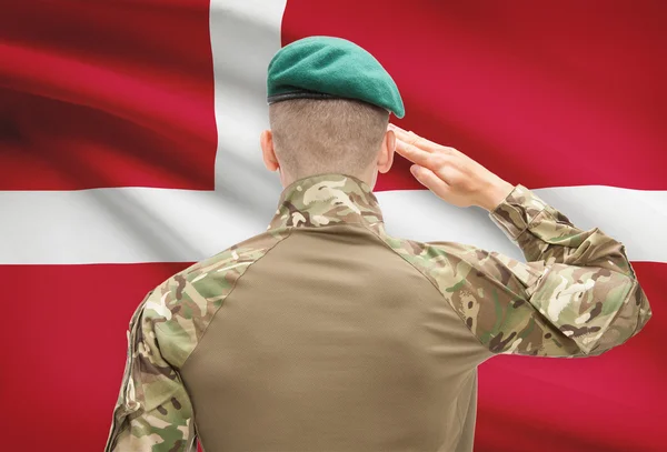 Danish military Stock Photos, Royalty Free Danish military Images ...