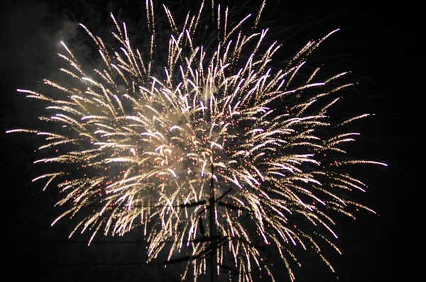 Fire work - Stock Image - Everypixel