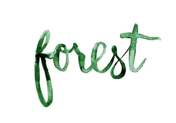 Forest logo Stock Photos, Royalty Free Forest logo Images | Depositphotos