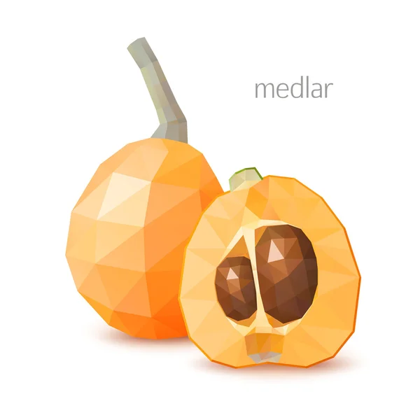 Fruit icons. Vector illustration — Stock Vector © samarka #94257064