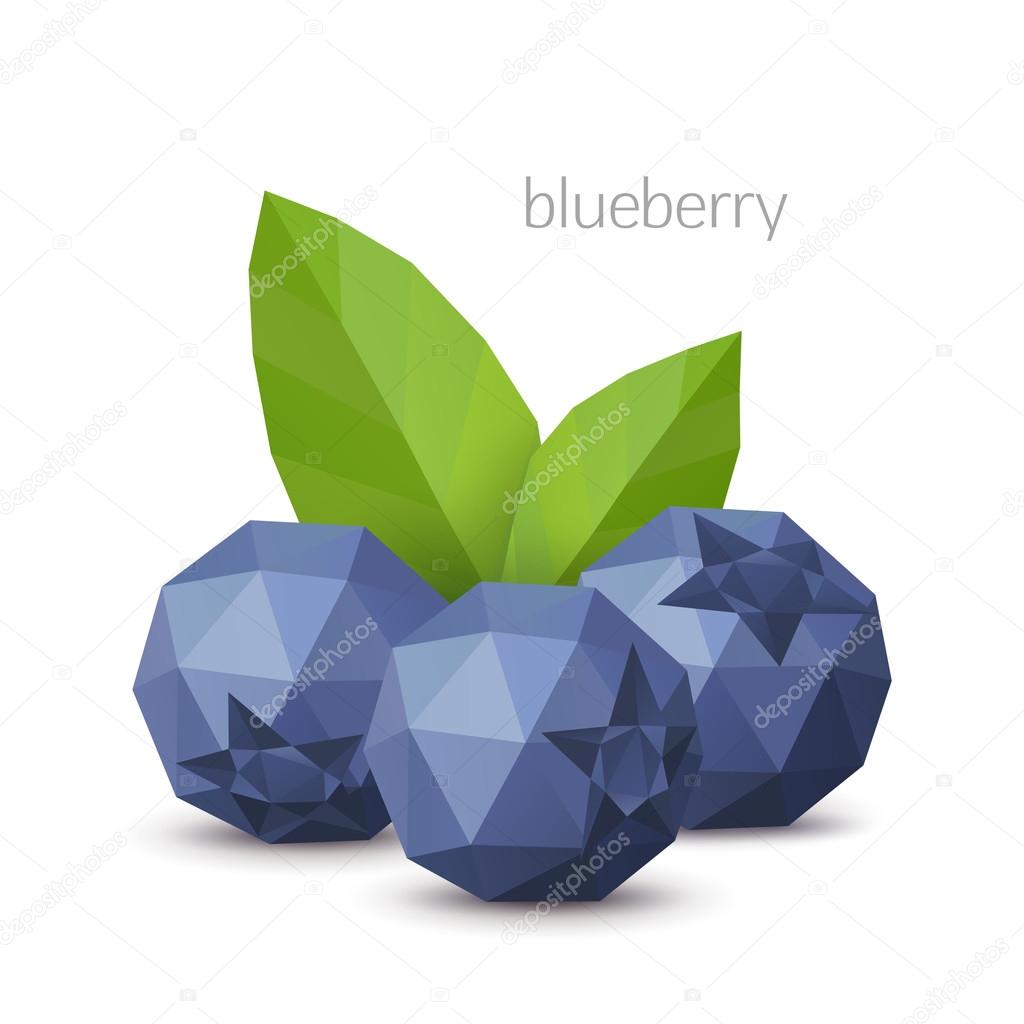 Polygonal berry - blueberry. Vector illustration — Stock Vector ...