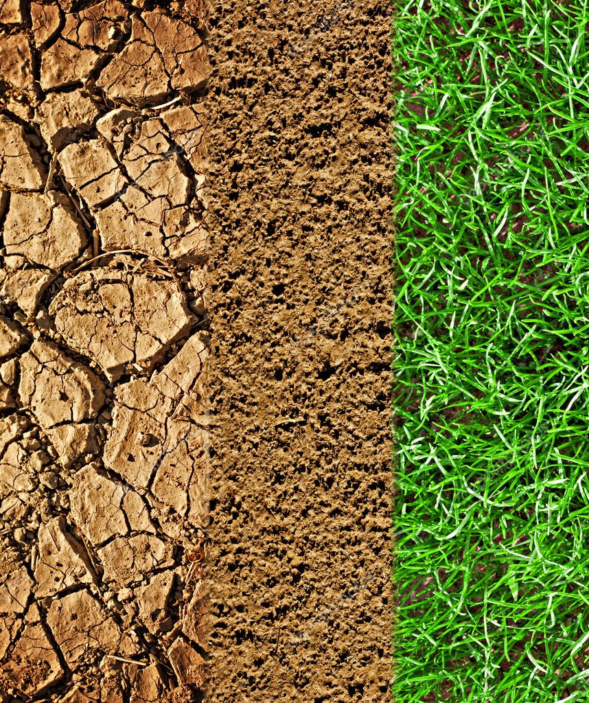 Tierra agrietada, tierra preparada y hierba recién sembrada 2022
