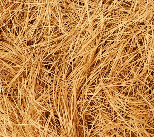 Hay seamless background. — Stock Photo © Leonardi #3305963