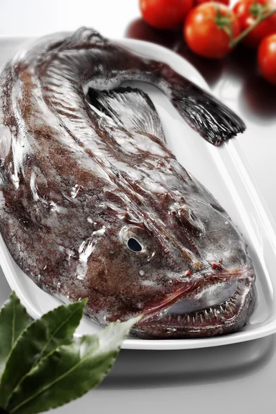 ᐈ Monkfish stock images, Royalty Free monkfish photos | download on ...