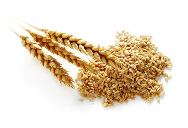 Flour wheat Stock Photos, Royalty Free Flour wheat Images | Depositphotos®