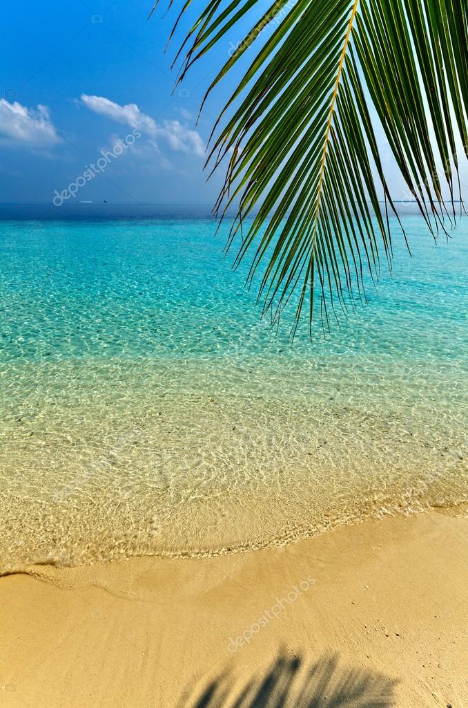 Nice ocean beach Stock Photo by ©Molbert 104280718