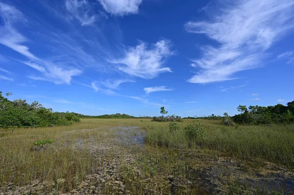 Everglades structures Stock Photos, Royalty Free Everglades structures ...