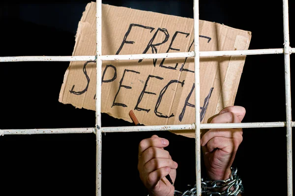 the concept of human rights freedom of speech the hands of a journalist ...