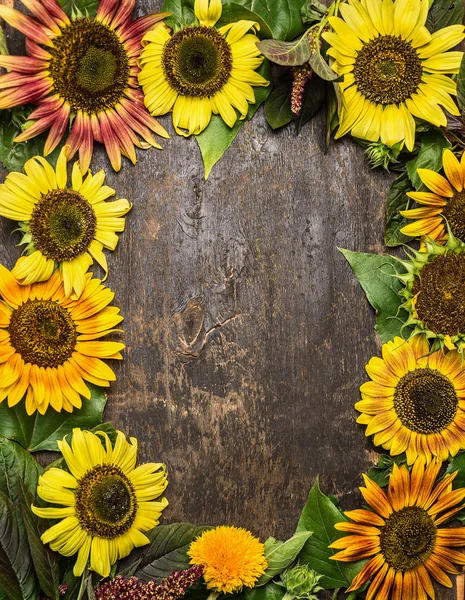 Sunflower frame Images - Search Images on Everypixel