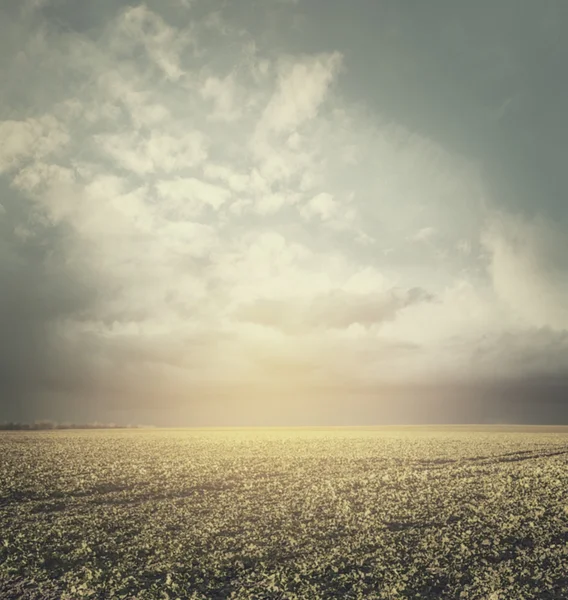 Blurred field Stock Photos, Royalty Free Blurred field Images ...