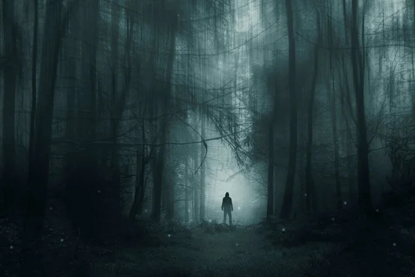 Cloaked Figure In Woods