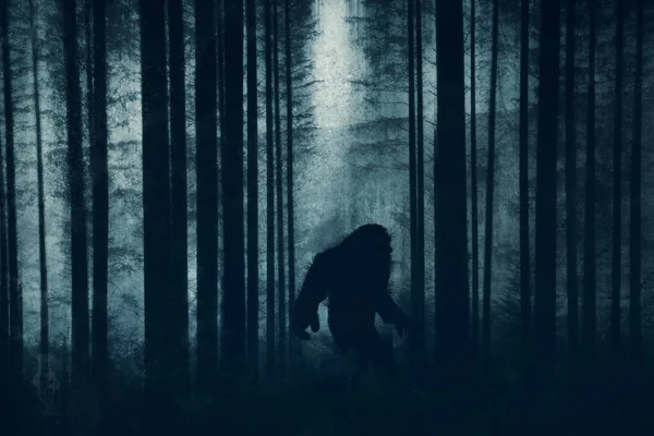 Scary Creatures In The Woods