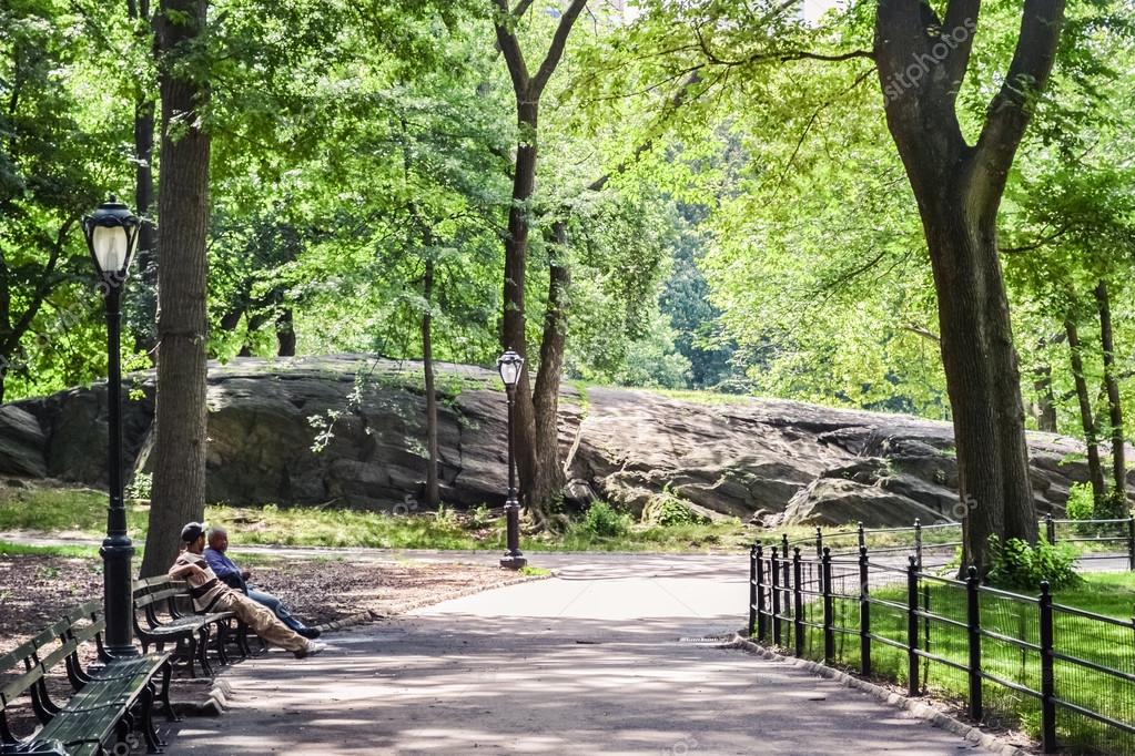 Central Park Summer Walkway