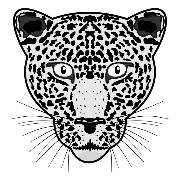 Head Leopard Isolated White Background Stock Vector Image by ©Victoria ...