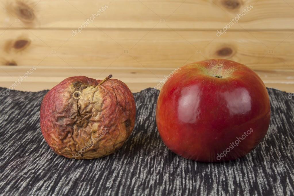 Two different apples, fresh and withered. Moldy apple as concept of ...