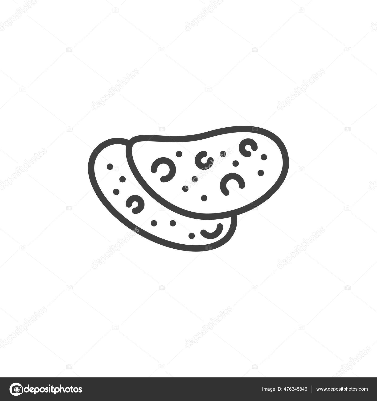 Pita bread line icon Stock Vector by ©avicons 476345846
