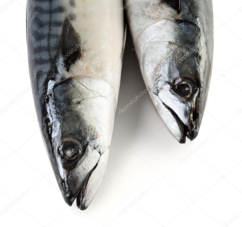 Two mackerel fishes Stock Photo by ©Valengilda 81831512
