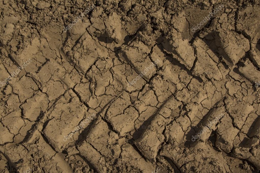 Mud Tracks Background
