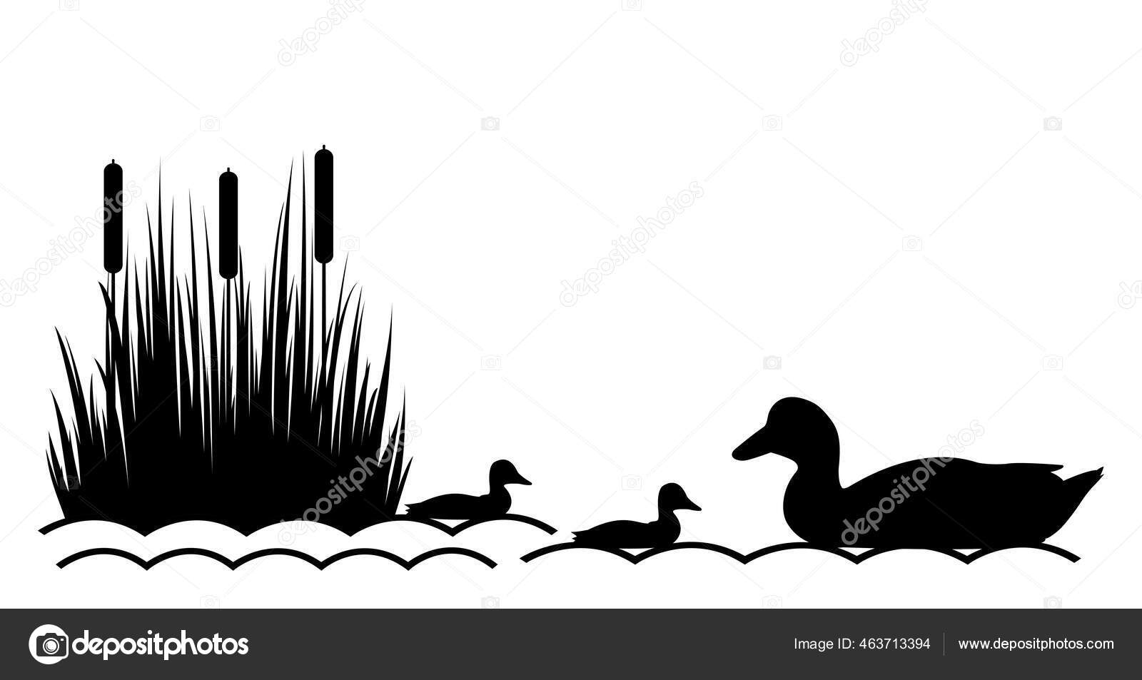 Duck with ducklings on the lake. Vector illustration. Stock Vector ...