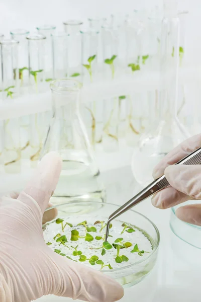 Biosciences Stock Photos, Royalty Free Biosciences Images | Depositphotos