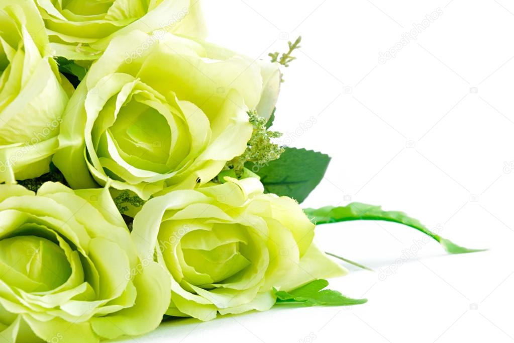 Green Rose Flowers Wallpapers