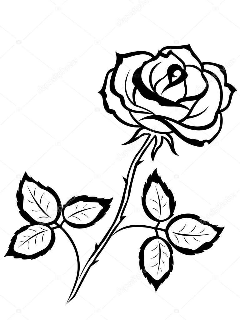Black outline of rose flower — Stock Vector © natreal #77575696