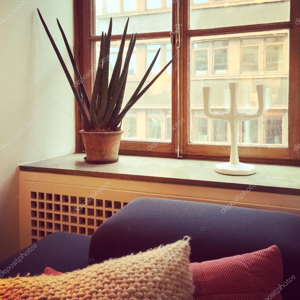 Window decorated with Sansevieria plant and candleholder Stock Photo by ...
