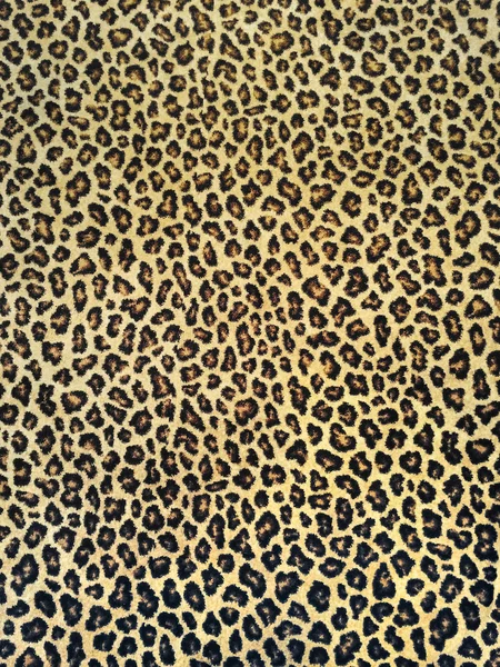 Leopard fabric Stock Photos, Royalty Free Leopard fabric Images ...