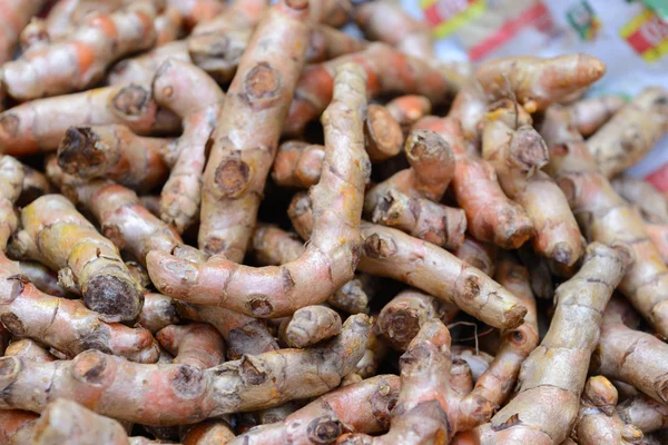 Japanese arrowroot Stock Photos, Royalty Free Japanese arrowroot Images ...