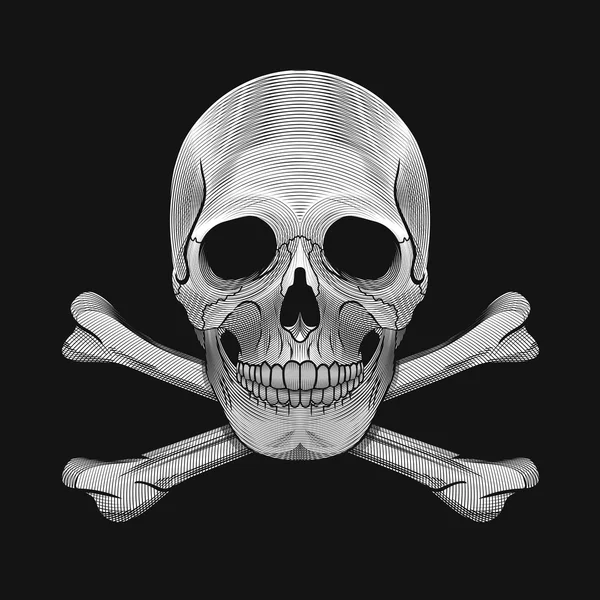 A fekete háttér fehér Halálfej — Stock Vektor © sergio34 #54083839