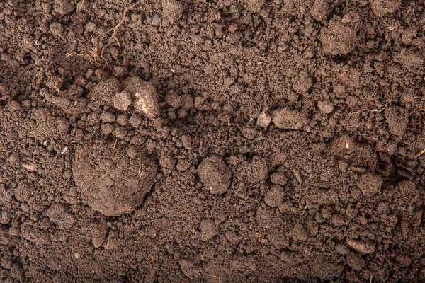The soil for planting isolated on white background Stock Photo by ...