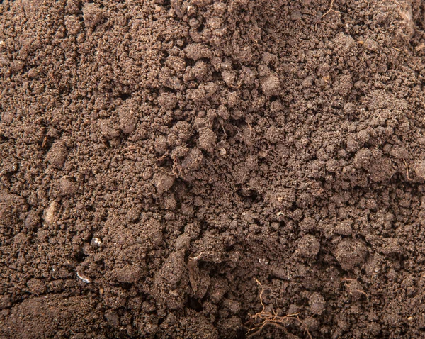 The soil for planting isolated on white background Stock Photo by ...