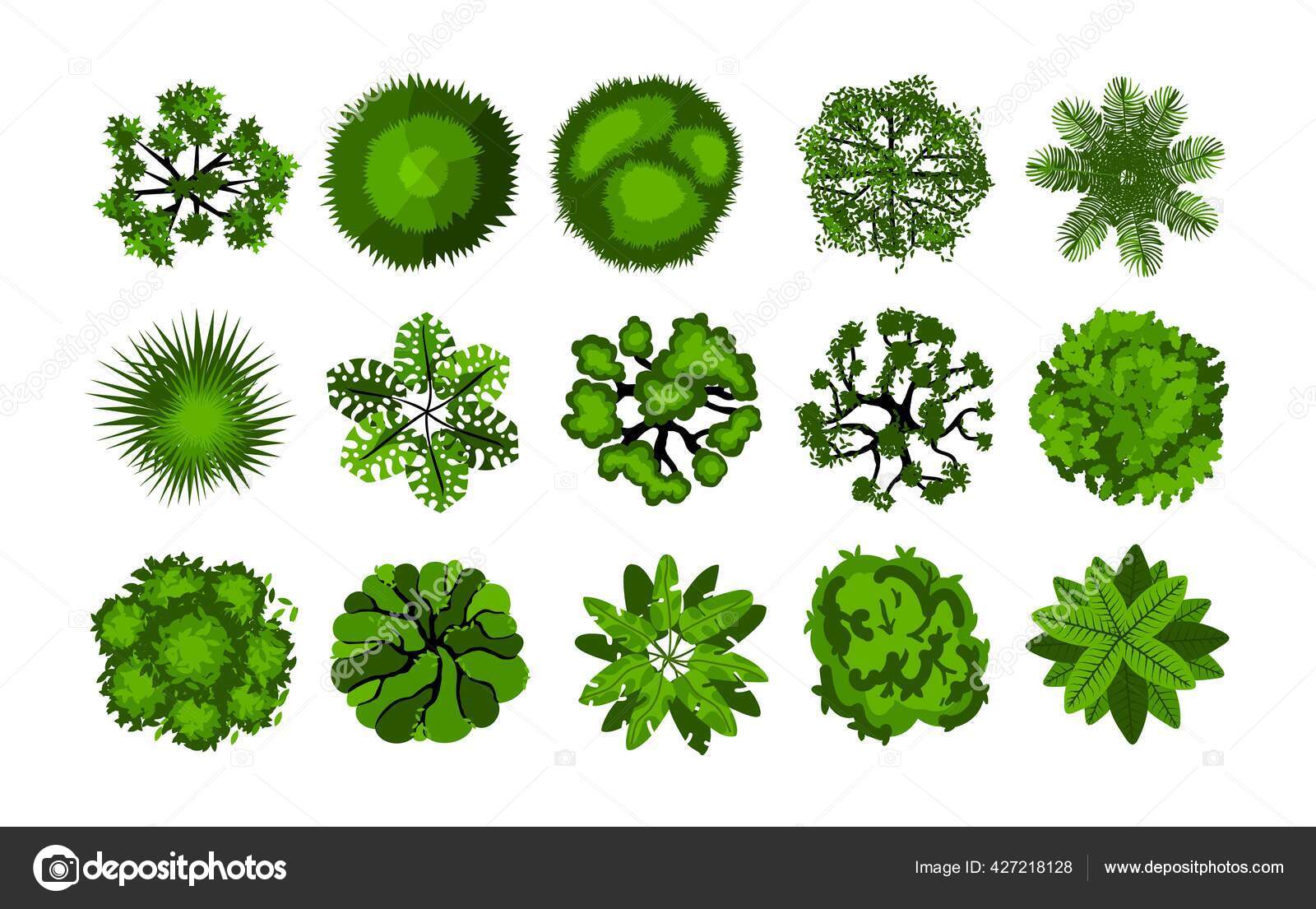 Tree from above. Top view of bushes for architectural and landscape ...