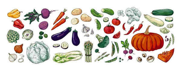 Sitaw Vector Images | Depositphotos