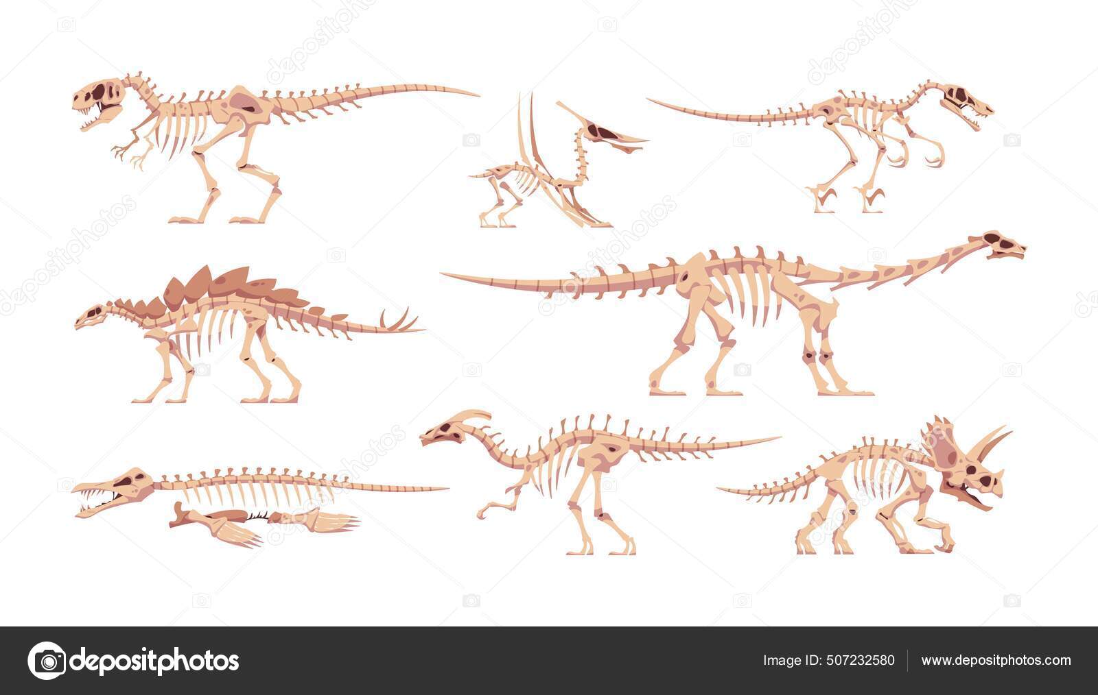 Dinosaur skeleton. Dino bones with skulls. Abstract tyrannosaurus or ...