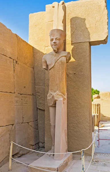 Raja ramses Stock Photos, Royalty Free Raja ramses Images | Depositphotos