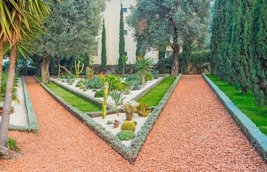 The cactus bed Stock Photo by ©efesenko 118384274