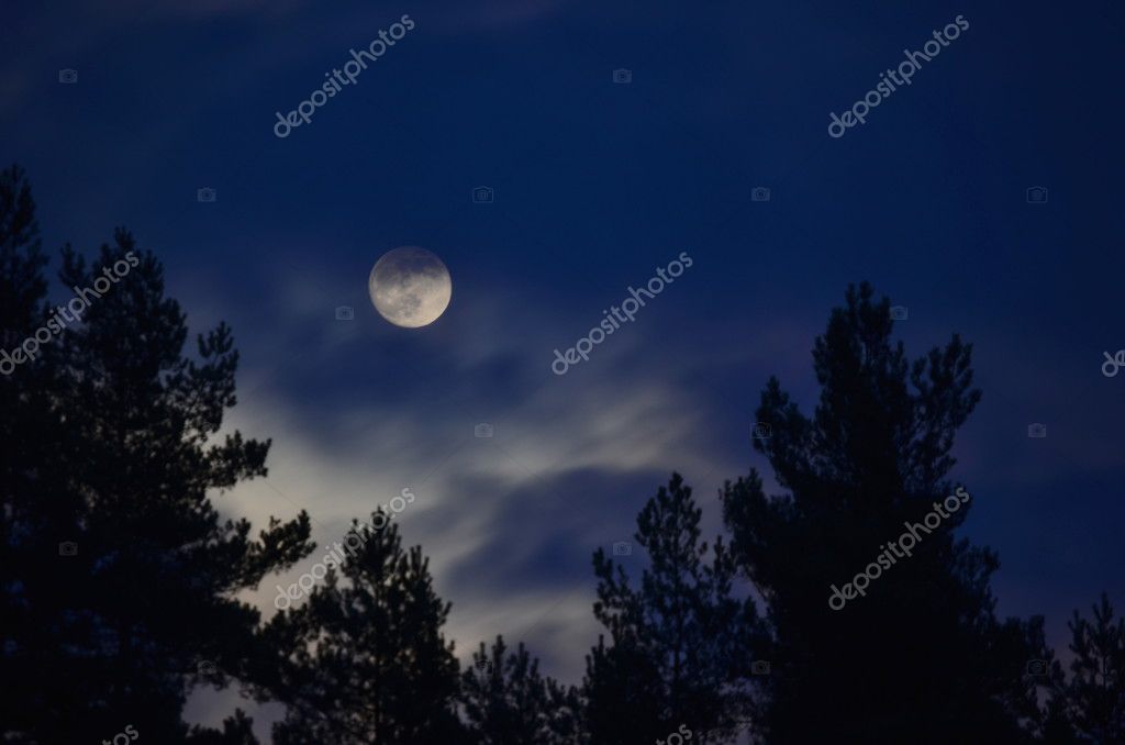 Full moon over the forest, South Bohemia Stock Photo by ©hanatipplova ...