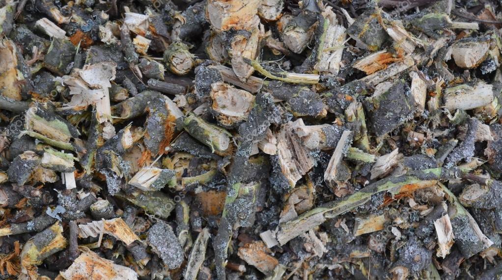 Broken branches of fruit trees Stock Photo by ©hanatipplova 75771077